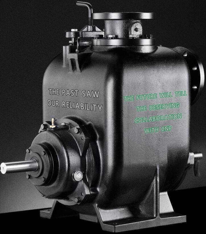 PHOTO GALLERY – PUMPINGS STORE